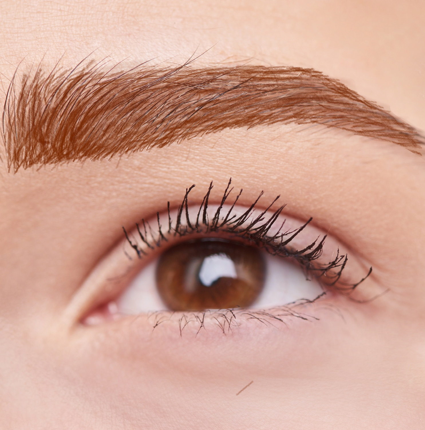 How to Pluck your Eyebrows without Messing Them Up - Lo & Co. How to Pluck your Eyebrows without Messing Them Up - Lo & Co.